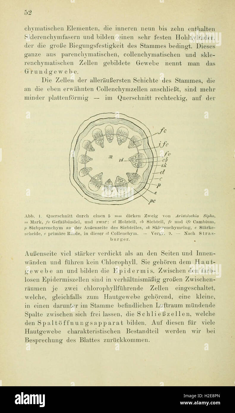 This work discusses the structure and life processes of plants ...