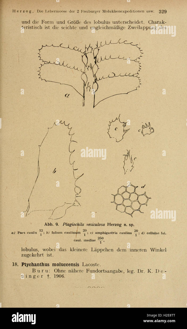 A supplement to the Botanical Central Journal, presenting additional ...