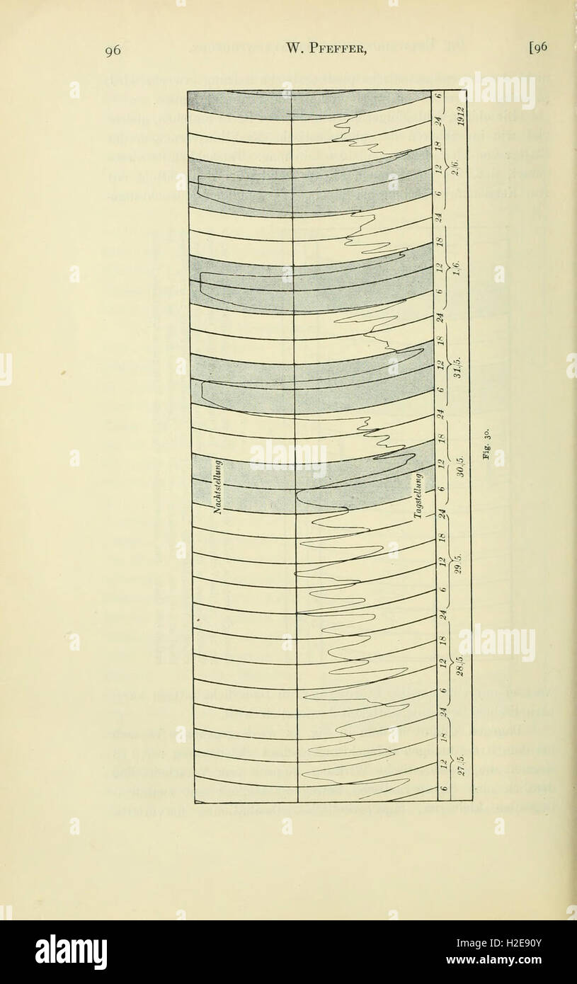 This work investigates the origins and mechanisms of sleep movements ...