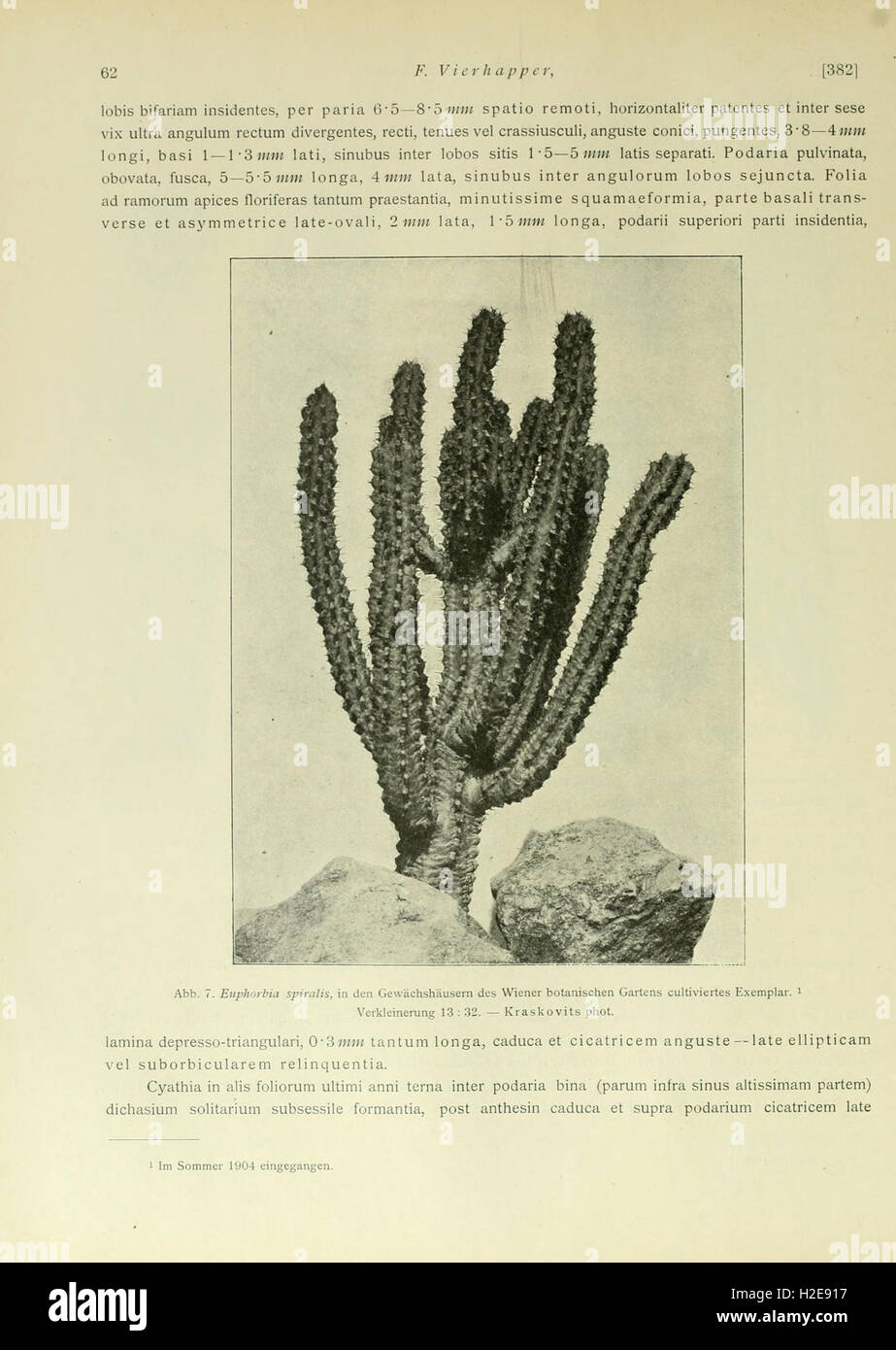 Abd font hi-res stock photography and images - Alamy