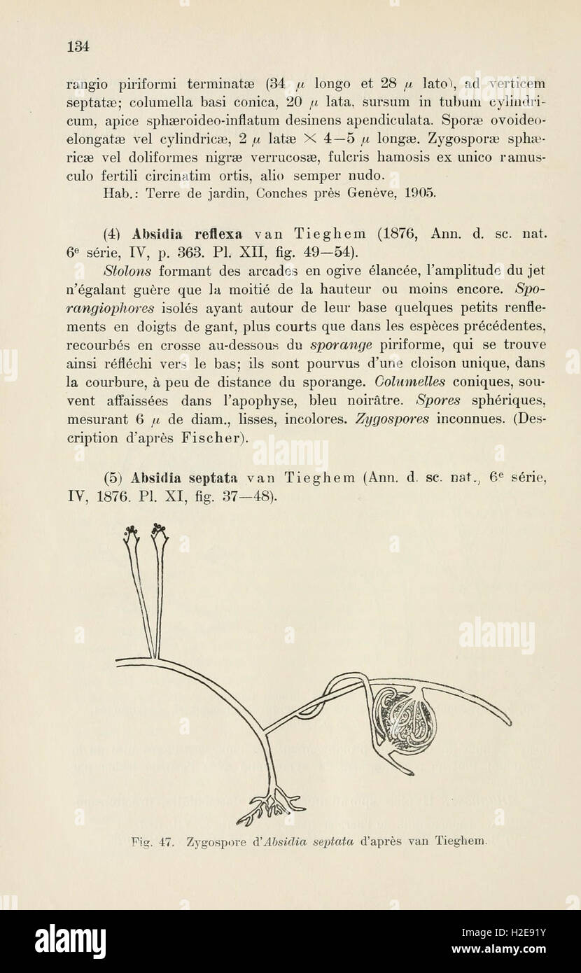 This work presents contributions to the study of cryptogamic flora in ...