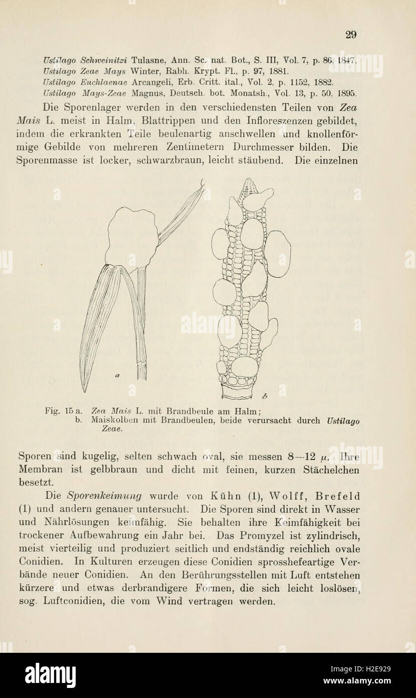 A study on the cryptogamic flora of Switzerland, focusing on non ...