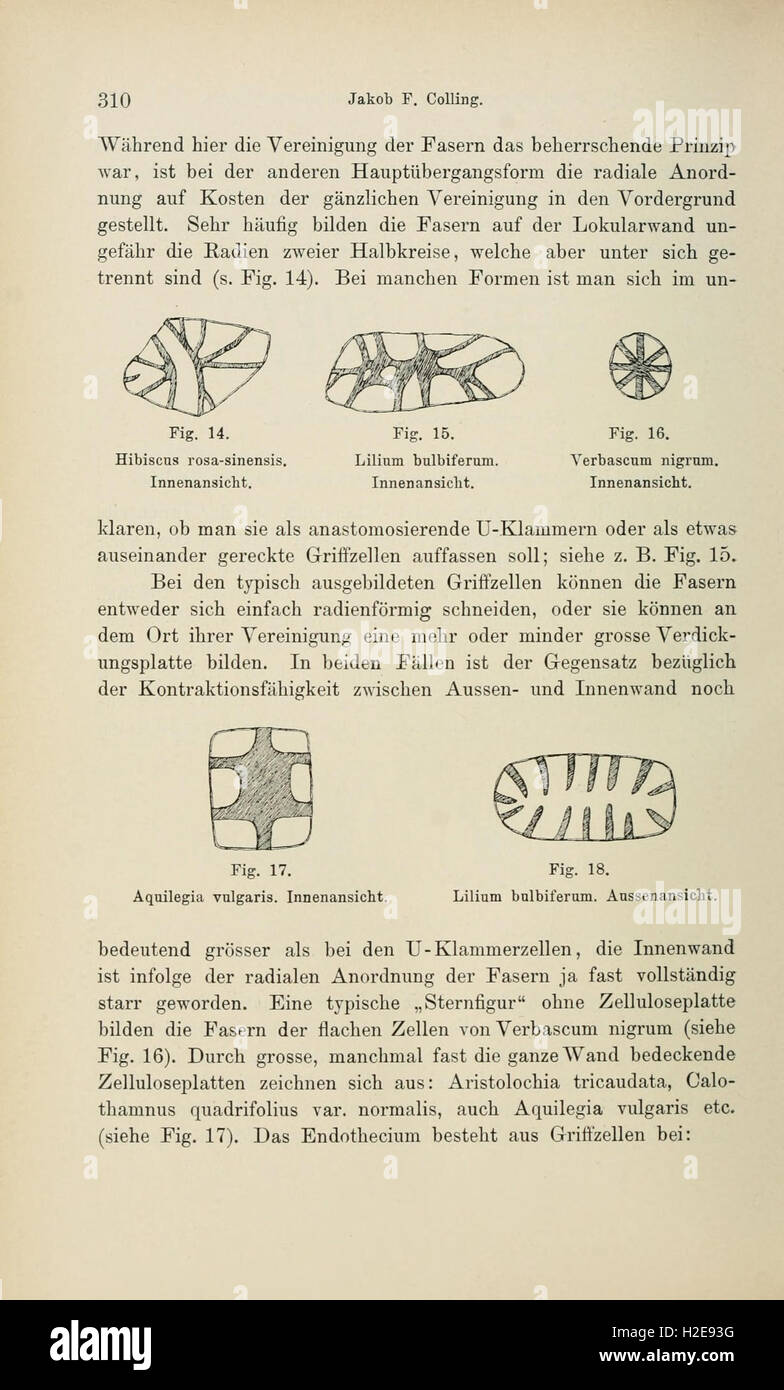 This book contributes to the field of scientific botany with research ...