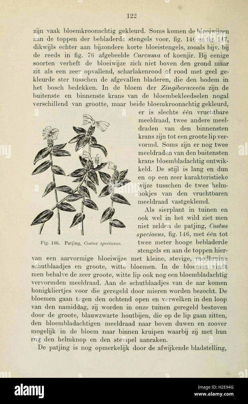 This concise textbook on plant science for Dutch East Indies offers ...