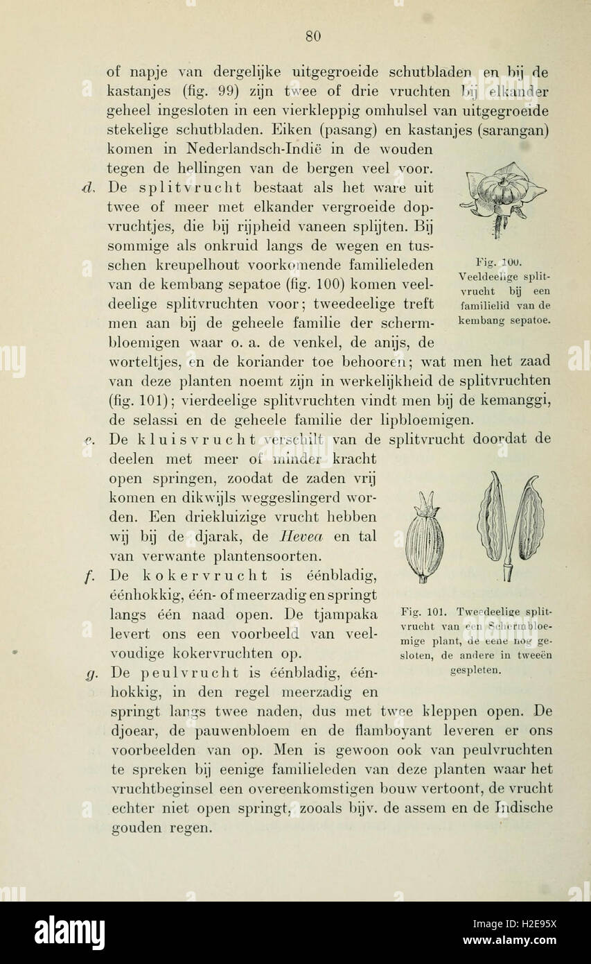 This textbook offers a concise overview of plant science for the study ...