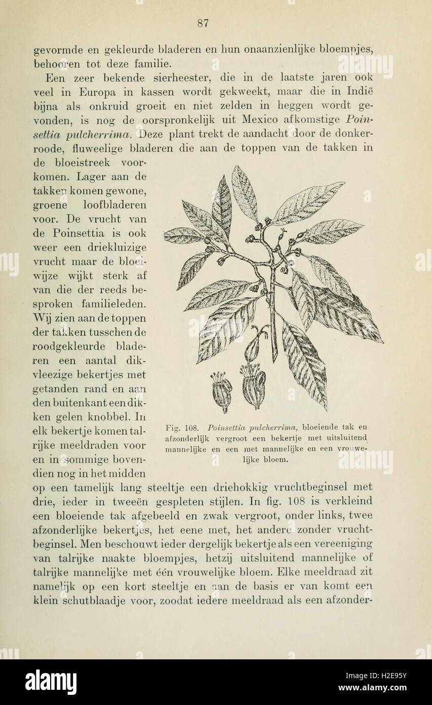 This Dutch botanical textbook provides an overview of plant science ...