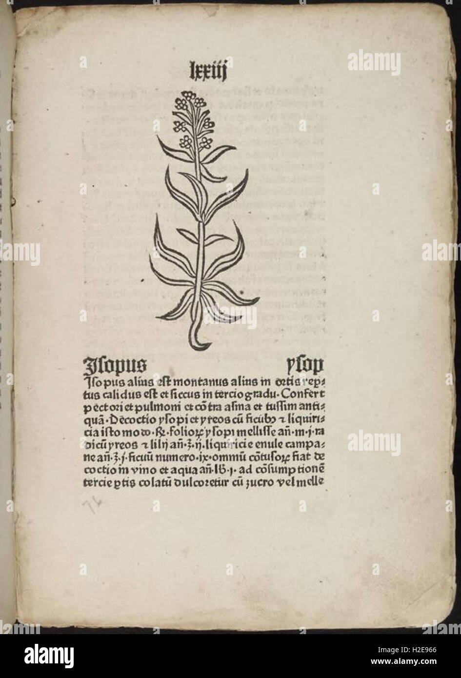 This Latin text discusses the necessity of medical and financial ...