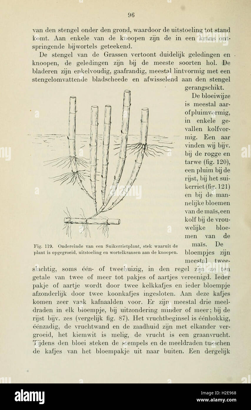 This concise textbook provides an overview of plant sciences specific ...