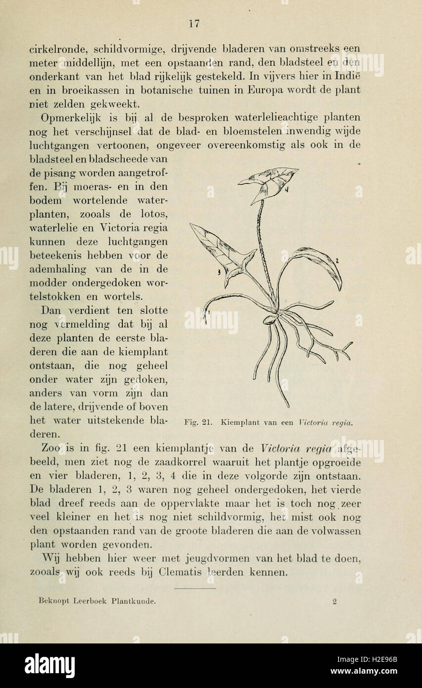 This concise textbook on botany provides a foundational understanding ...