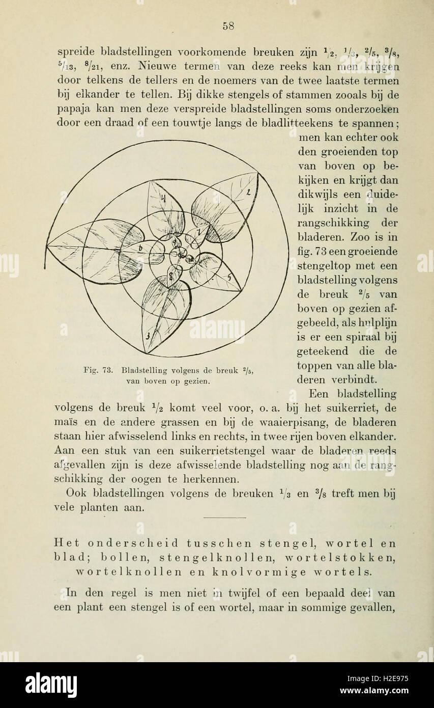 This concise textbook on plant science provides foundational knowledge ...