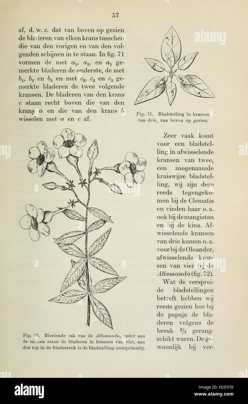 This Dutch book provides a concise introduction to plant science ...