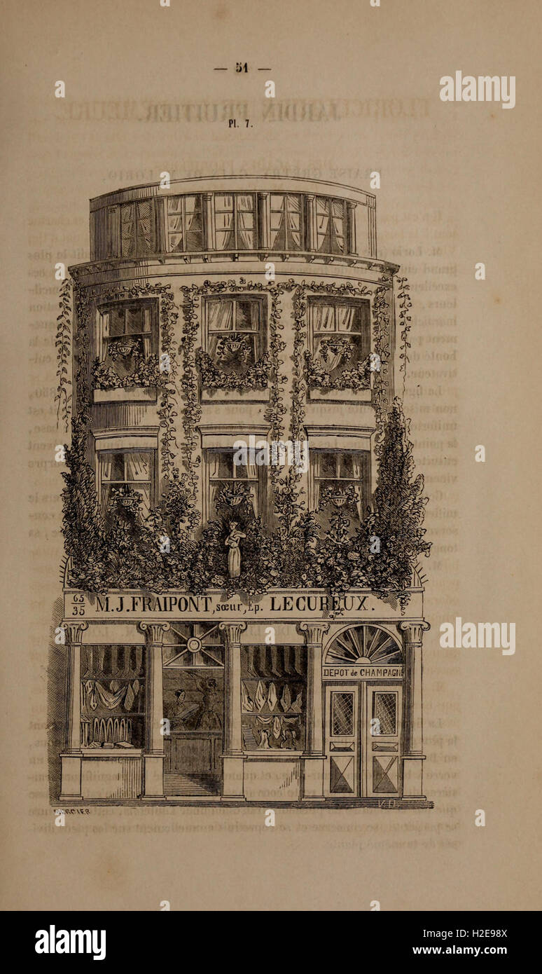 A horticultural work on Belgian flora, featuring plant species native ...