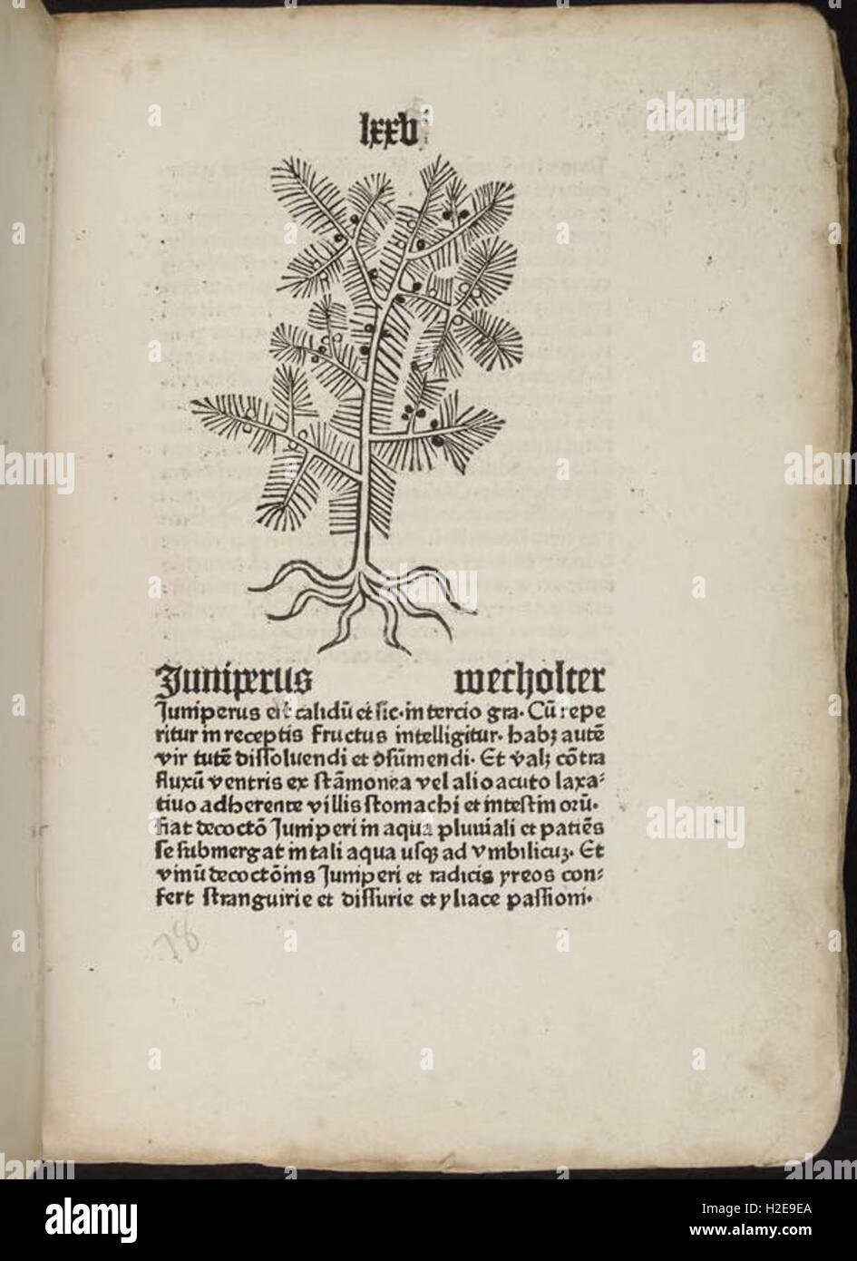 This Latin text appears to discuss a theological or philosophical issue ...