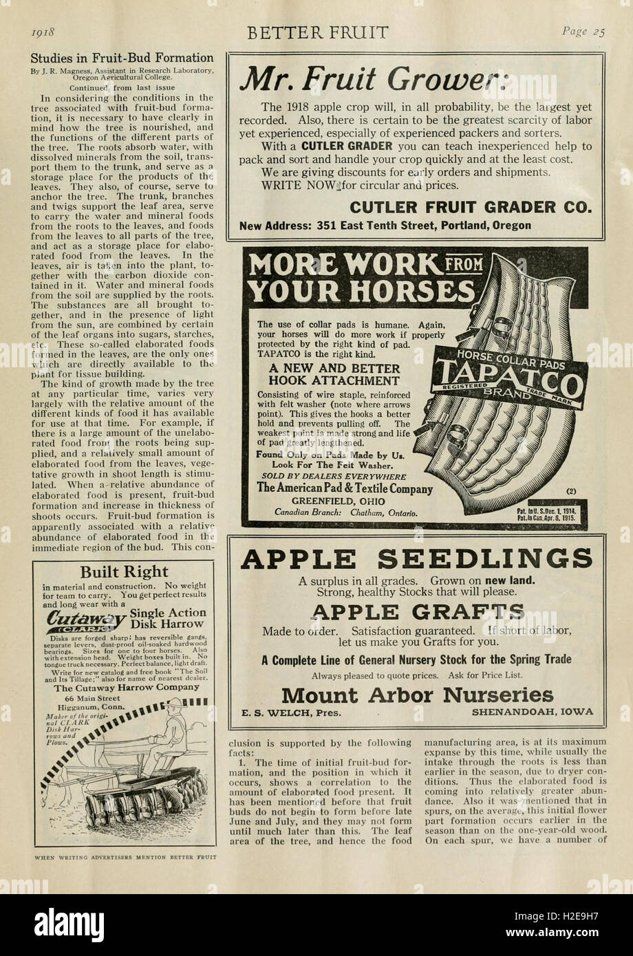 A practical guide to improving fruit production, focusing on techniques ...