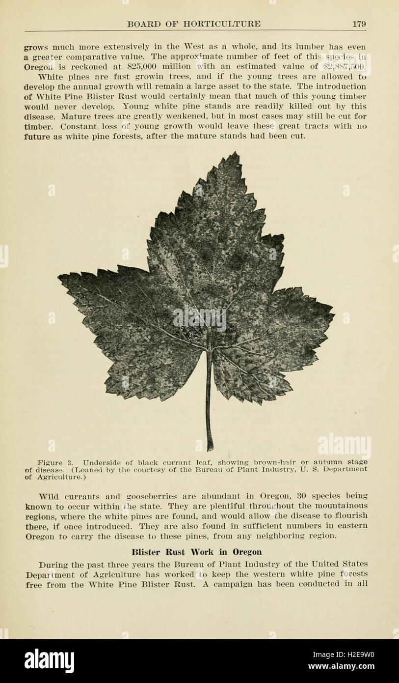 The biennial report from the Oregon State Board of Horticulture ...