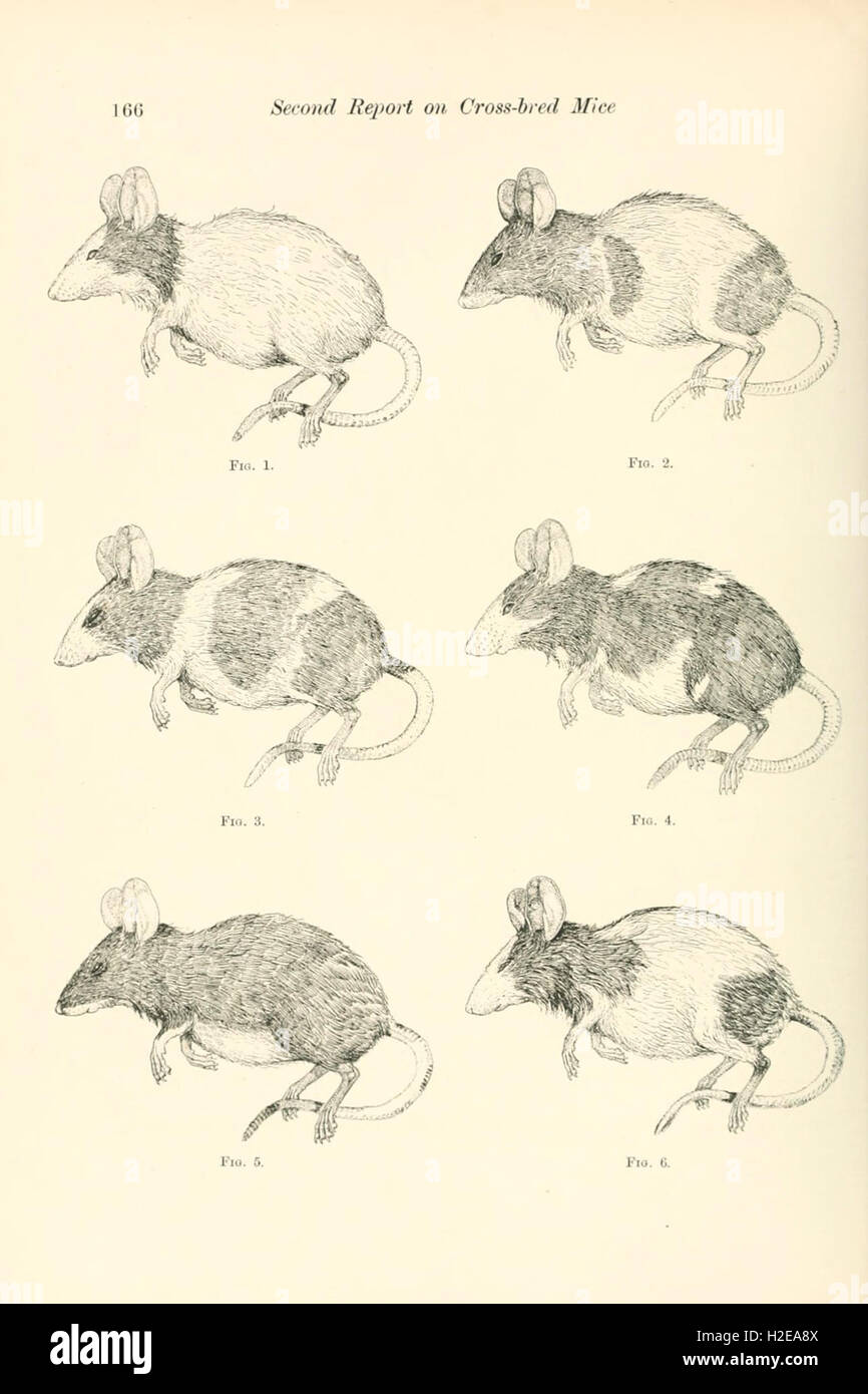 Page 166 of 'Biometrika' discusses statistical methods and their ...
