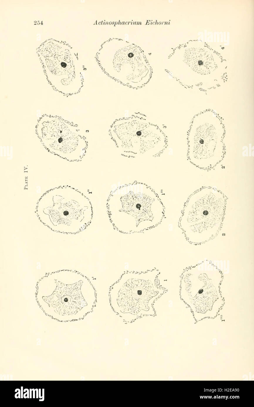 Biometrika is a journal focusing on the application of statistics and ...