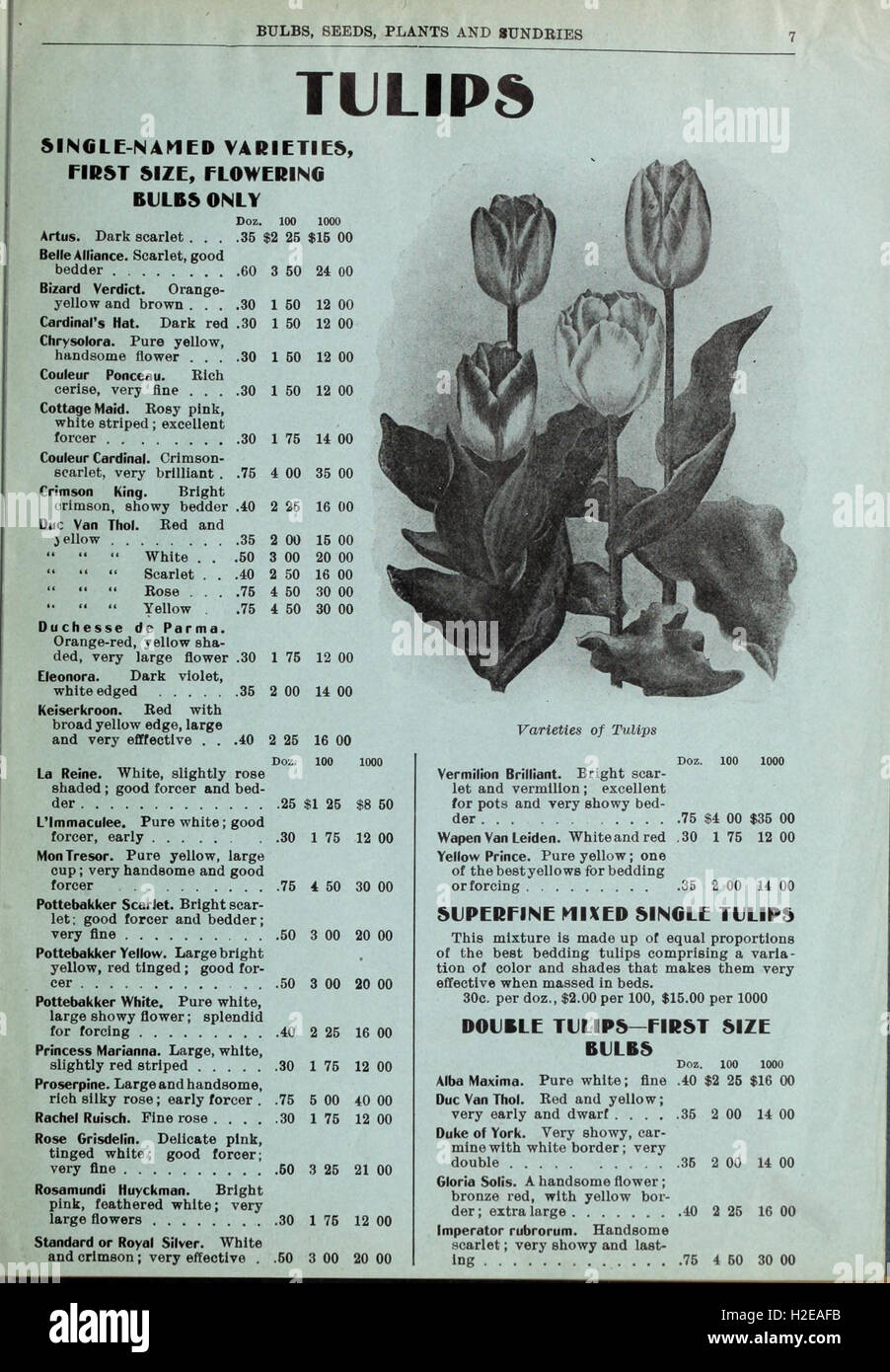 A catalog of quality bulbs, seeds, and plants, focusing on their ...
