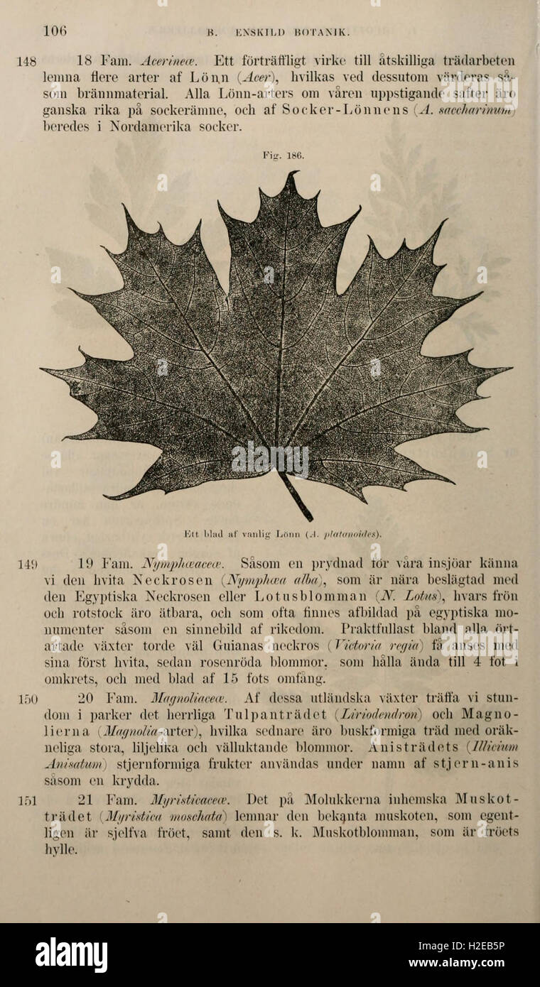 A botanical work focused on various plant species, providing insights ...