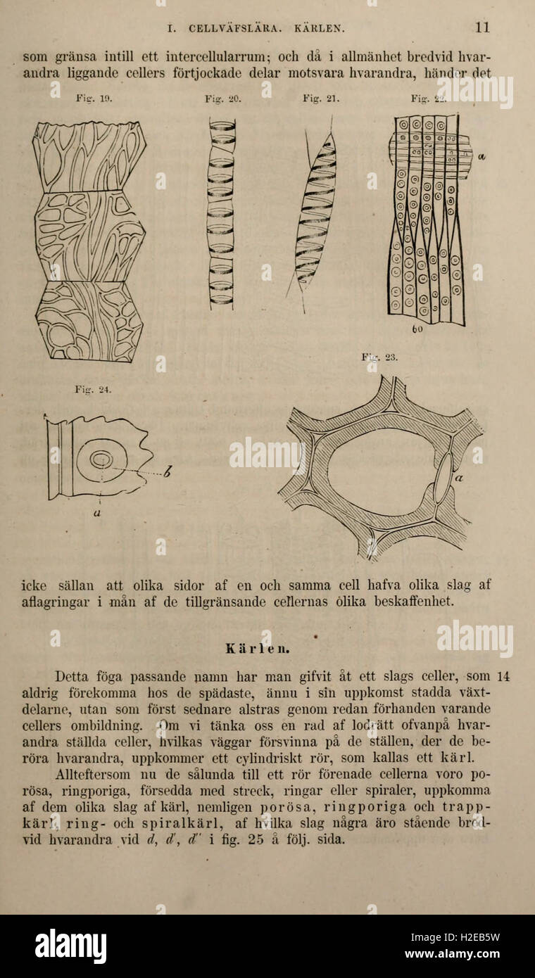 This work introduces basic concepts of botany, covering plant structures, classifications, and ...