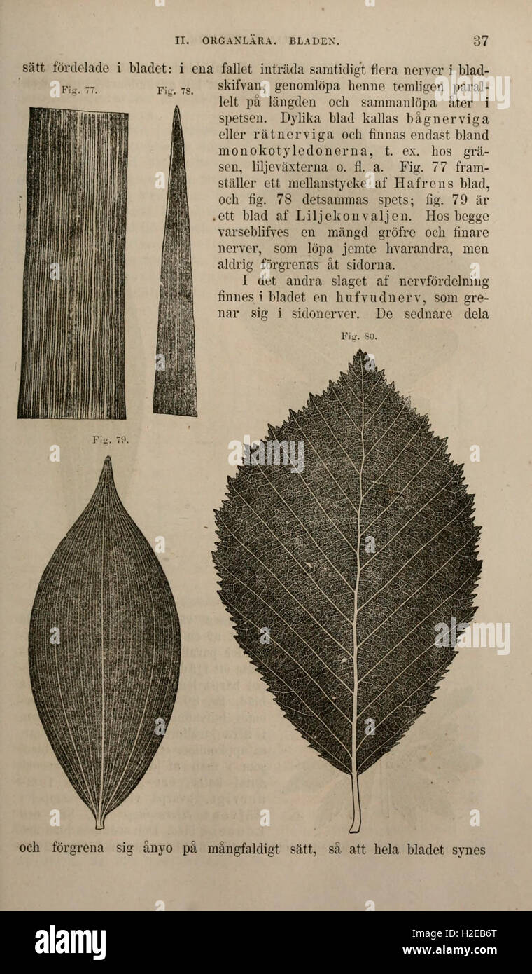 This botanical publication explores plant species, their classification ...