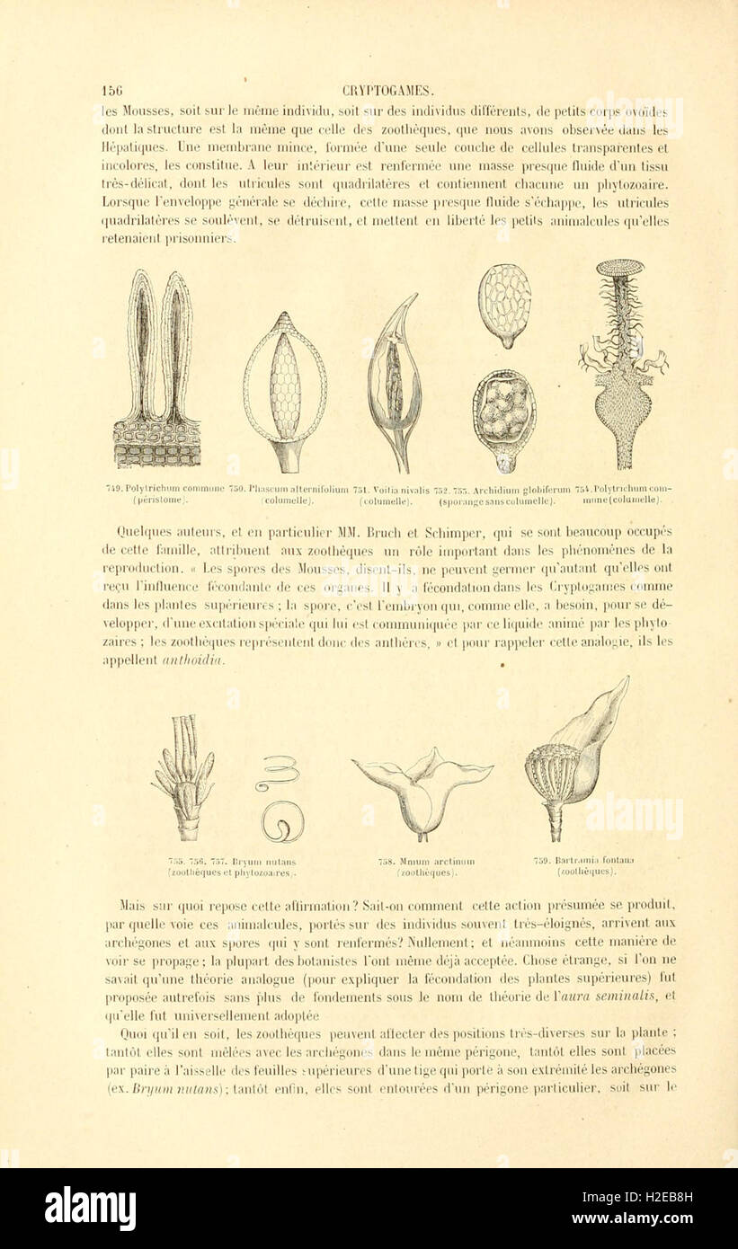 This text explores the natural history and classification of lower ...