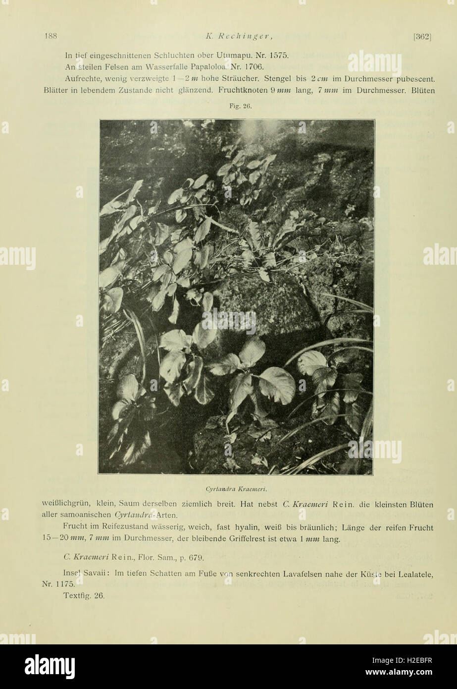 This scientific expedition report details botanical and zoological ...