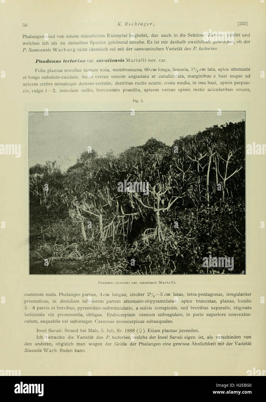 This document presents the botanical and zoological findings from a ...
