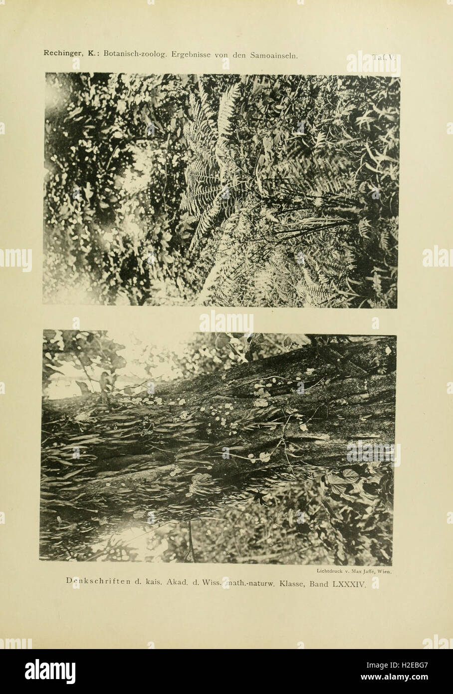 This botanical and zoological work reports the findings of a scientific ...