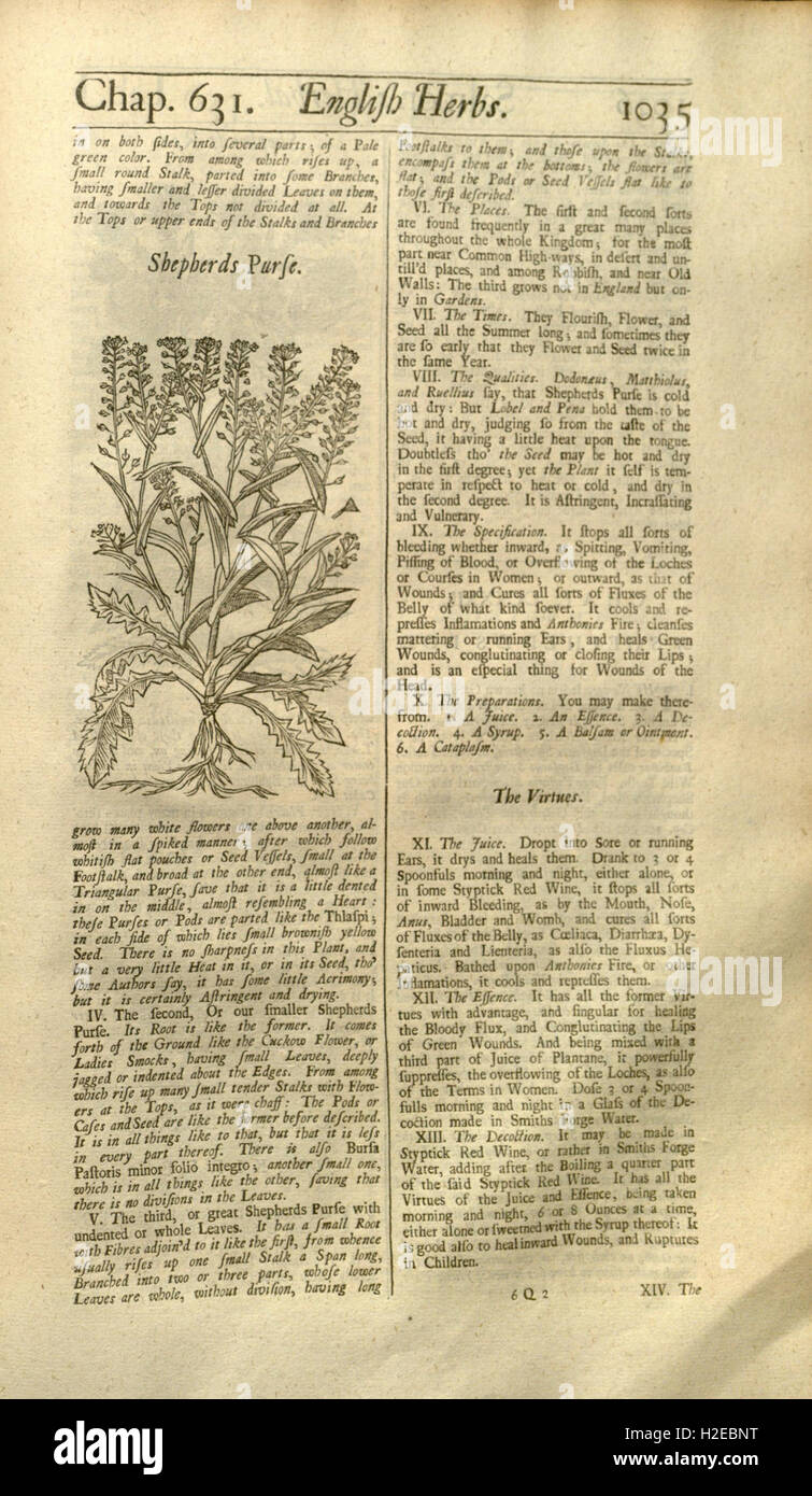 A comprehensive study of plants, featuring the history, classification ...