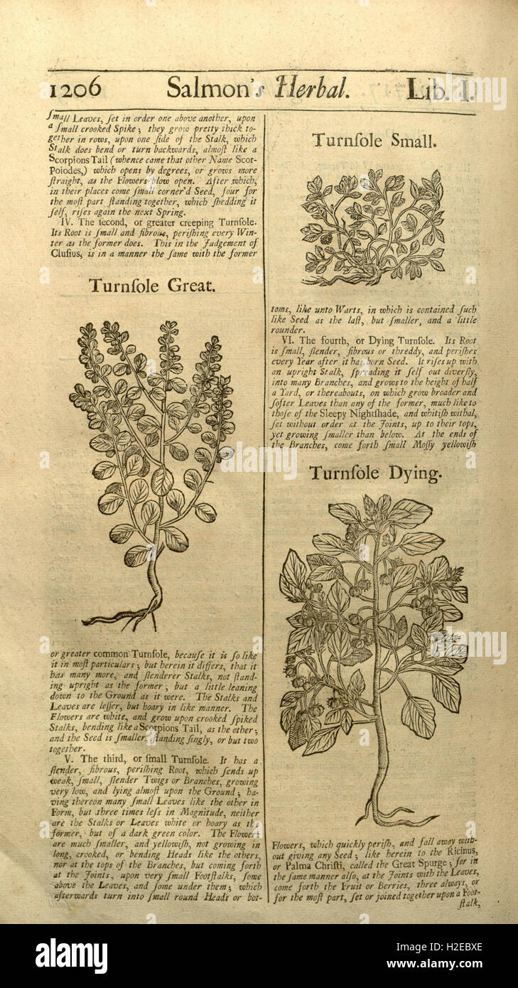 This English herbal text details the history and uses of various plants ...