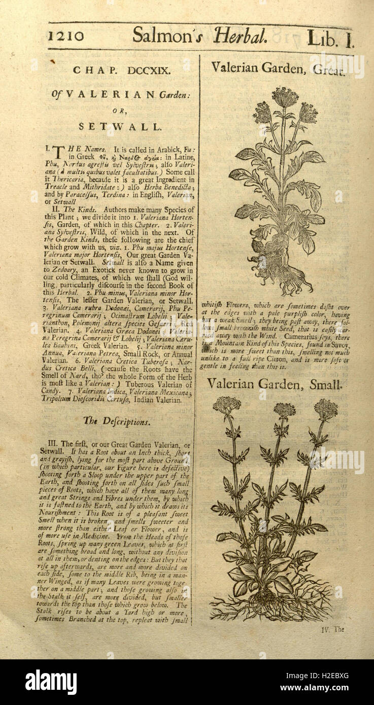 This section of Botanologia offers an in-depth history of plants ...