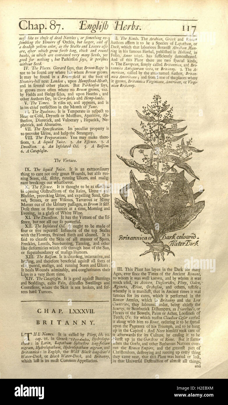 A historical botanical work detailing the history and uses of plants in ...