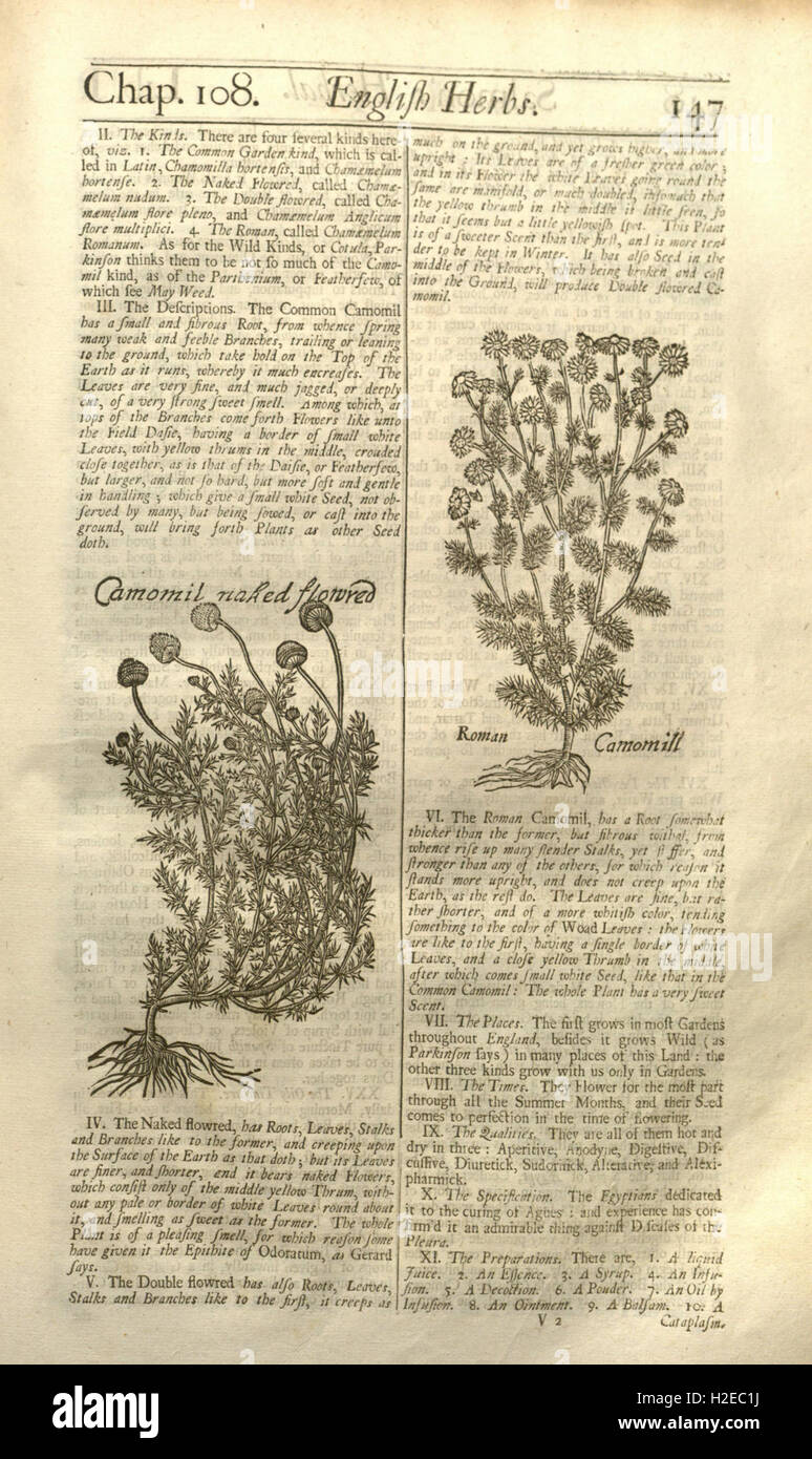 A 17th-century English herbal by William Salmon, detailing the ...