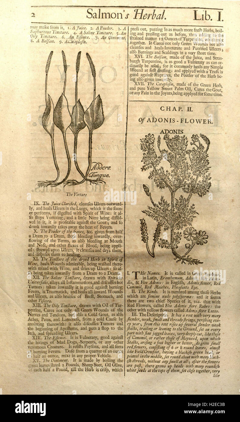 An early botanical text focusing on the history and classification of ...