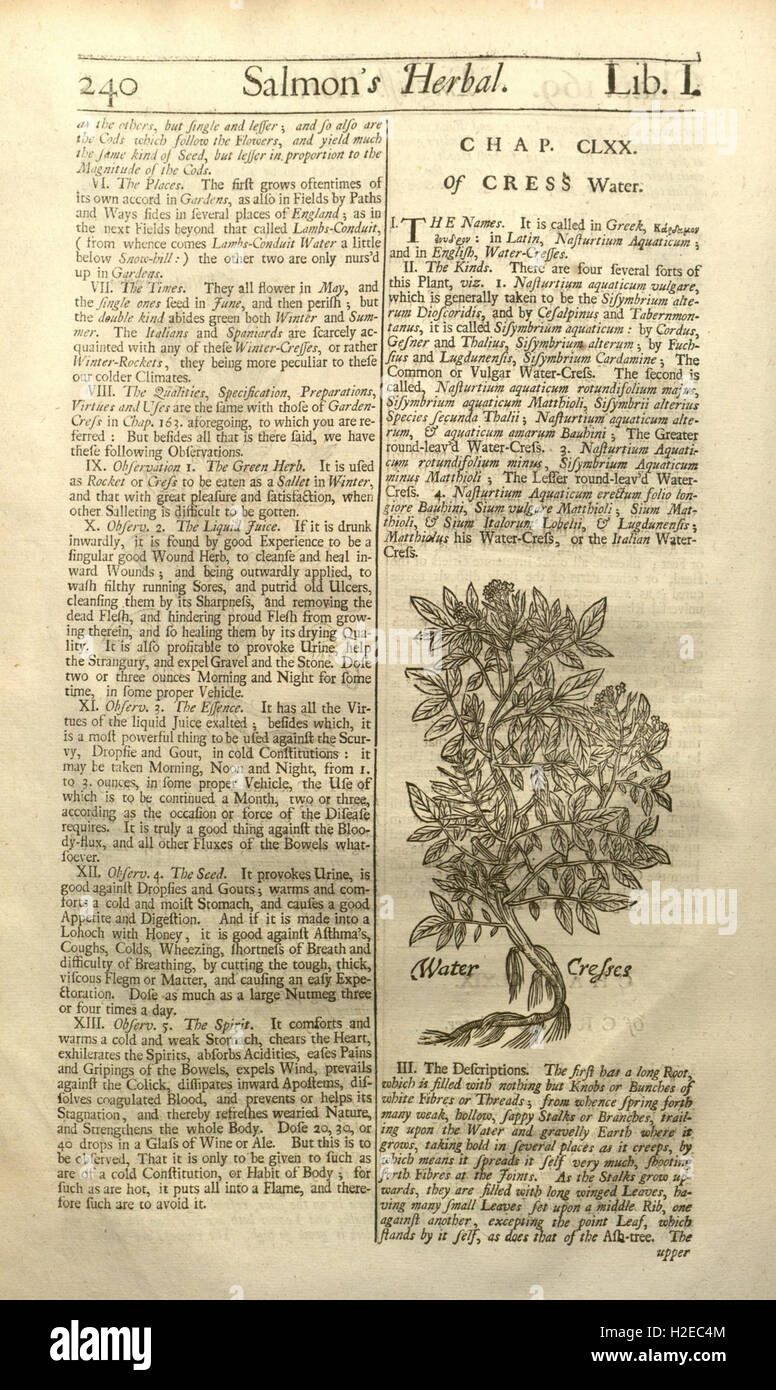 This work is an exploration of various plants with an emphasis on their ...