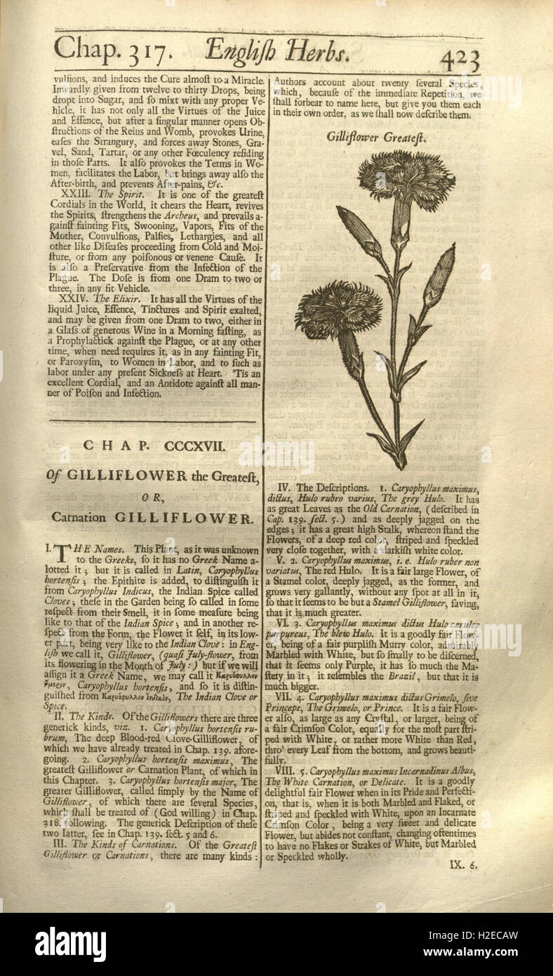 A comprehensive history of plants in the English herbal tradition ...