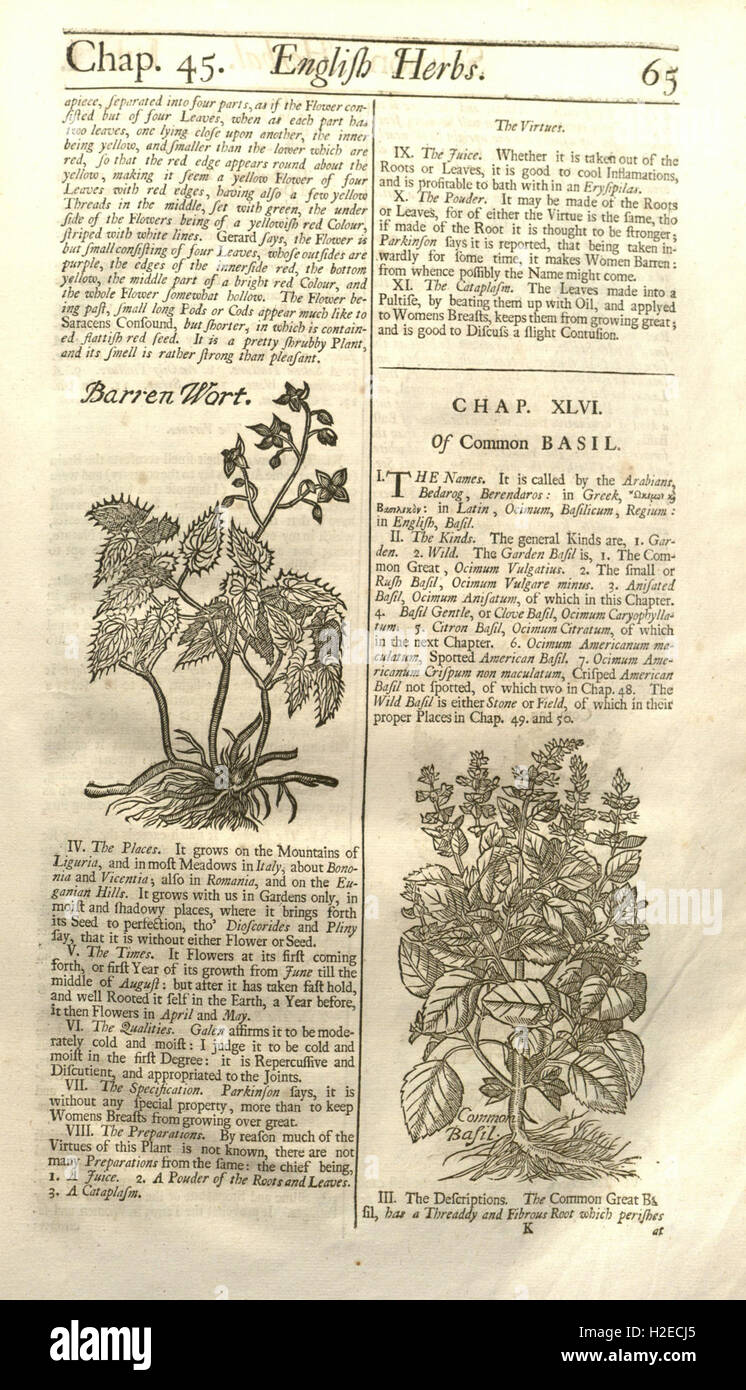 This historical work provides an overview of English plant species ...