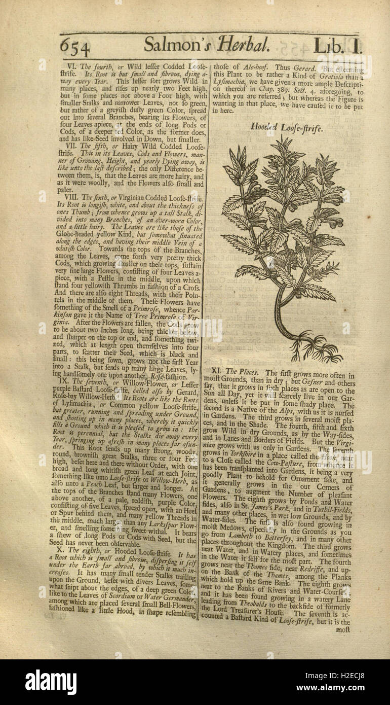 A historical and botanical work detailing the characteristics and uses ...