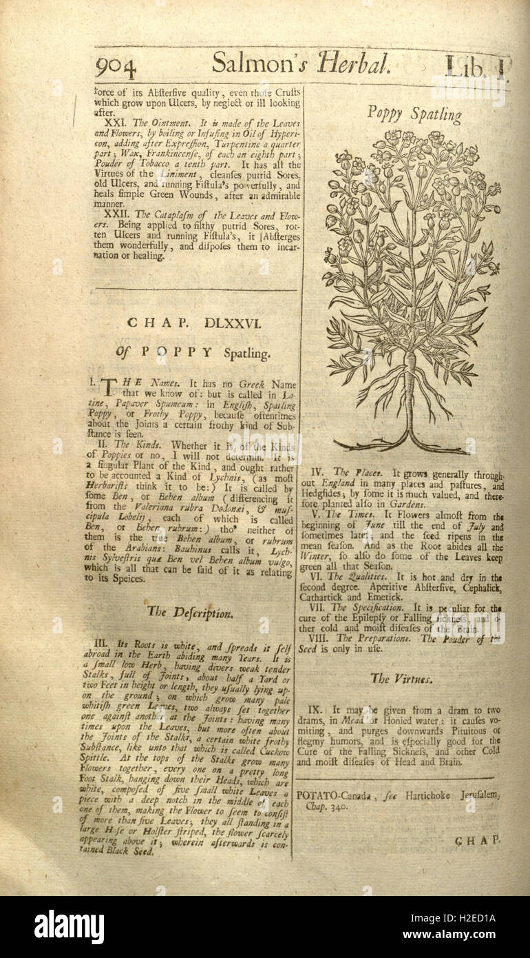 Botanologia, the English herbal, or, History of plants (Page 902 Stock Photo - Alamy