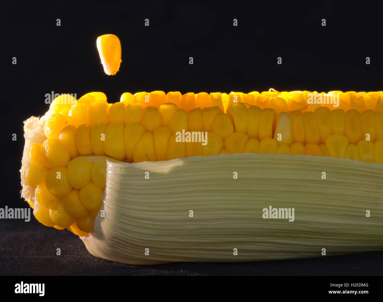 A corn cobb showing a kernel suspended in mid-air Stock Photo - Alamy