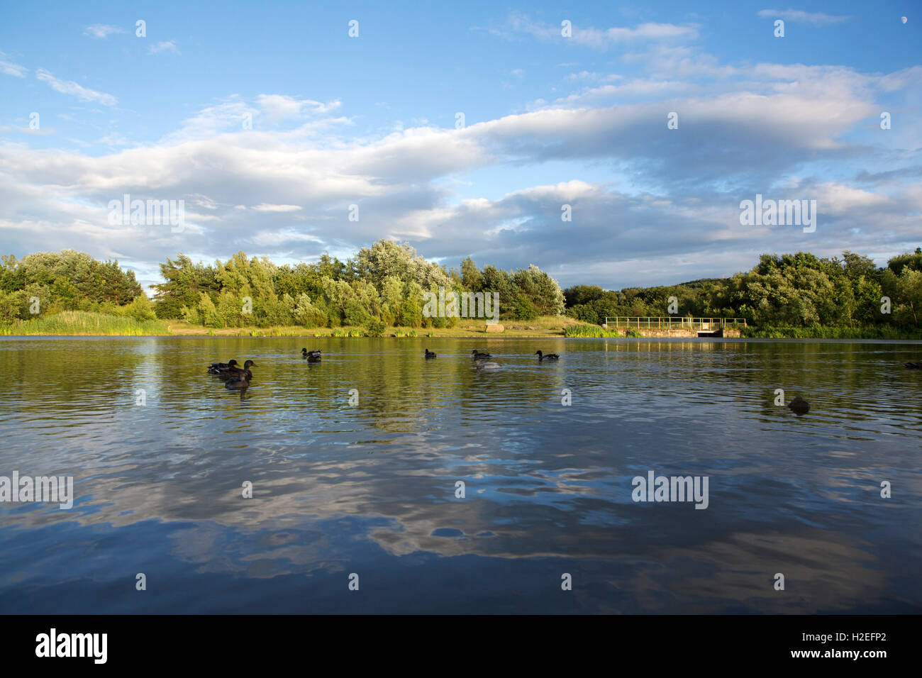 Docks on the lake at Watergate Forest Park in Gateshead, England Stock ...