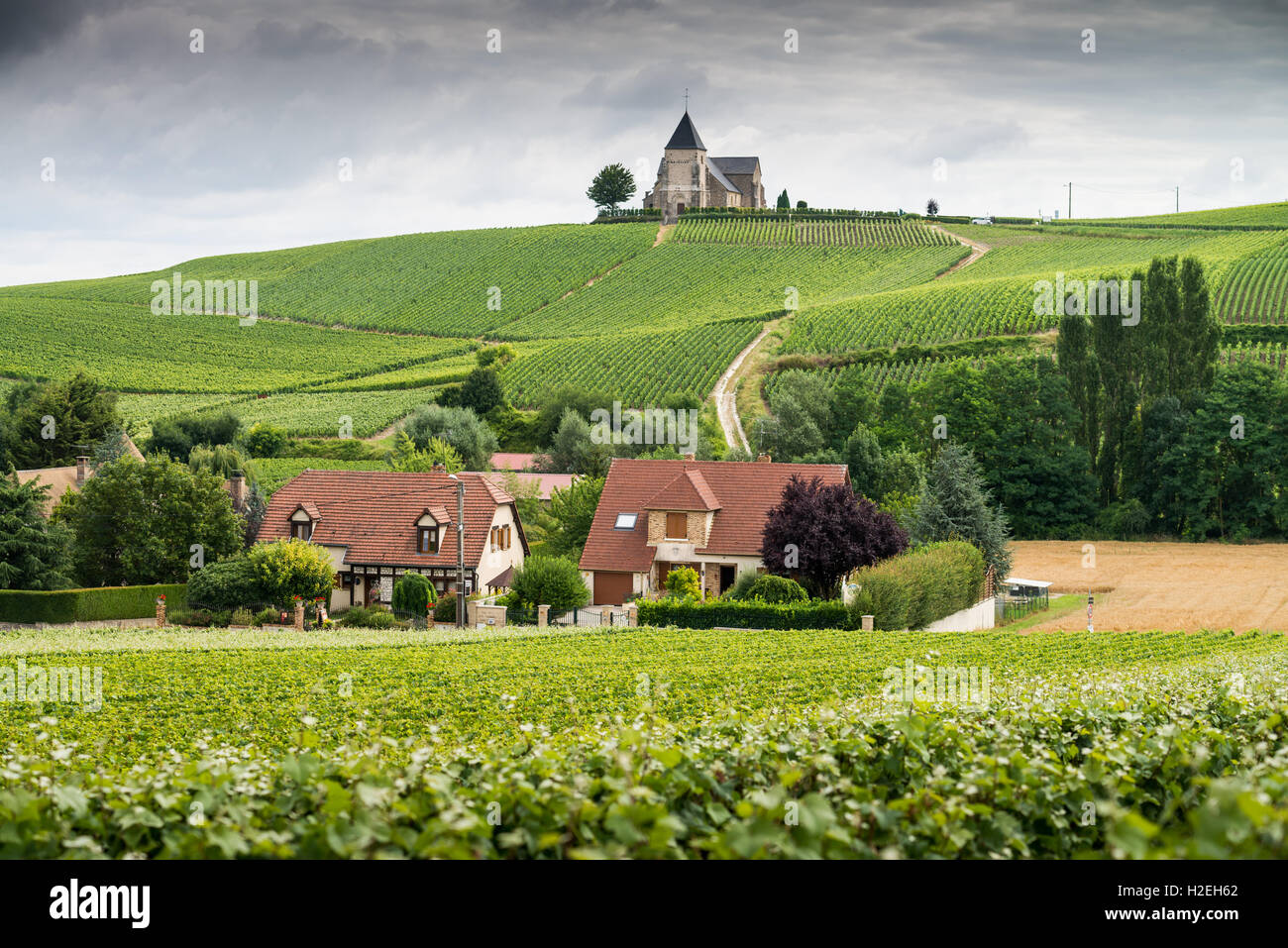 Campagne de marne hi-res stock photography and images - Alamy