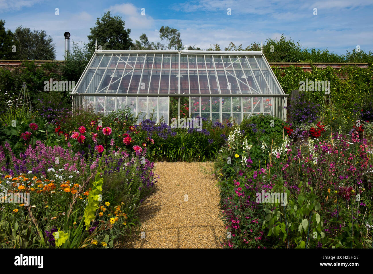 Greenhouse,Old Vicarage Gardens, East Ruston, Norfolk, UK Stock Photo - Alamy