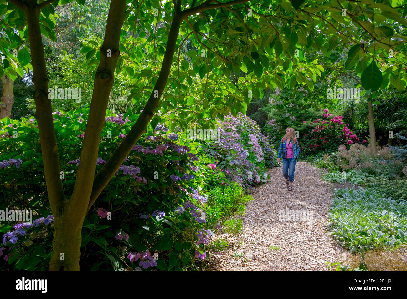 Old Vicarage Gardens, East Ruston, Norfolk, UK Stock Photo - Alamy