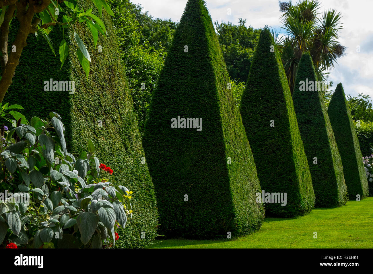 The King's Walk, Old Vicarage Gardens, East Ruston, Norfolk, UK Stock ...