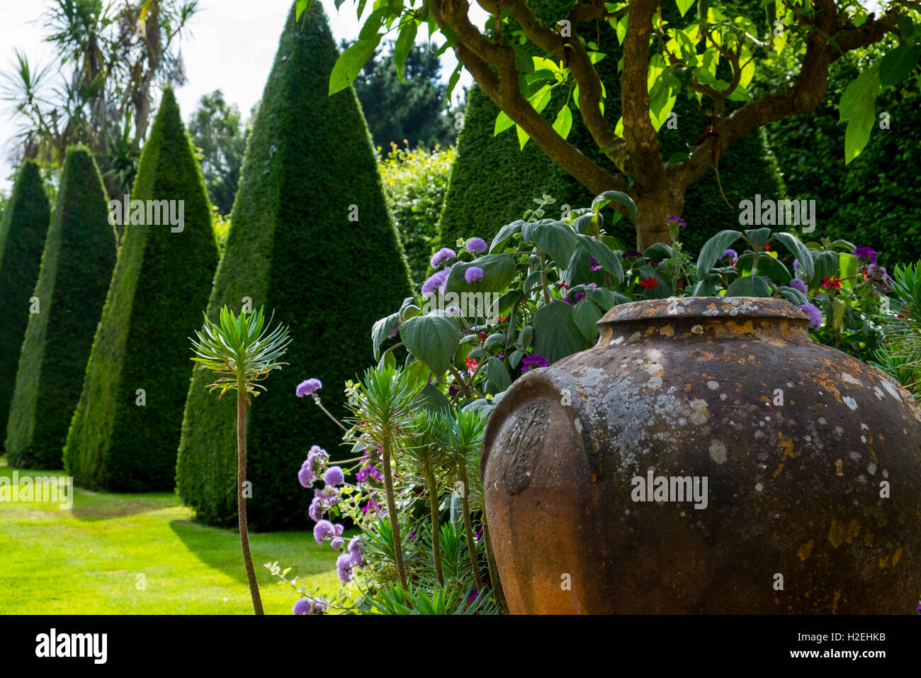 The King's Walk,Old Vicarage Gardens, East Ruston, Norfolk, UK Stock ...