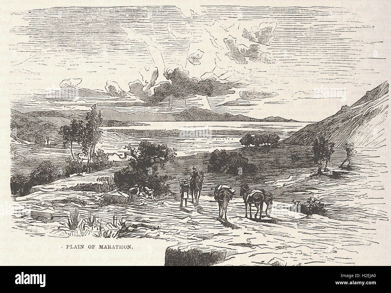 Plain history hi-res stock photography and images - Alamy