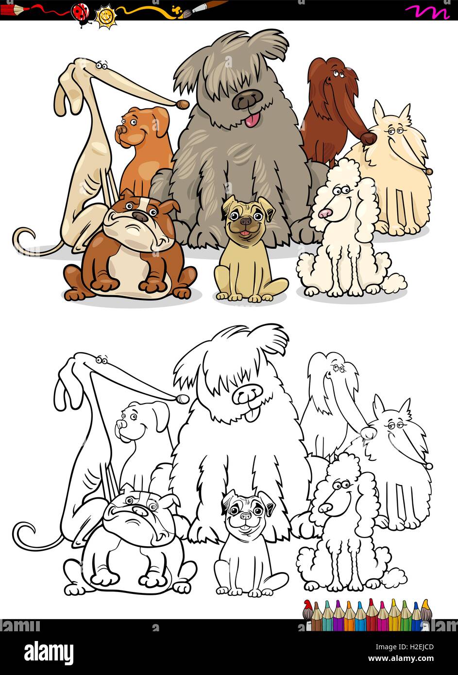 Pets pet dogs purebred Stock Vector Images - Alamy