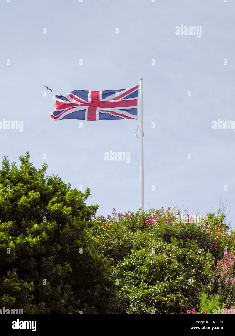 Union Jack flag flying over a blue sky background Stock Photo - Alamy